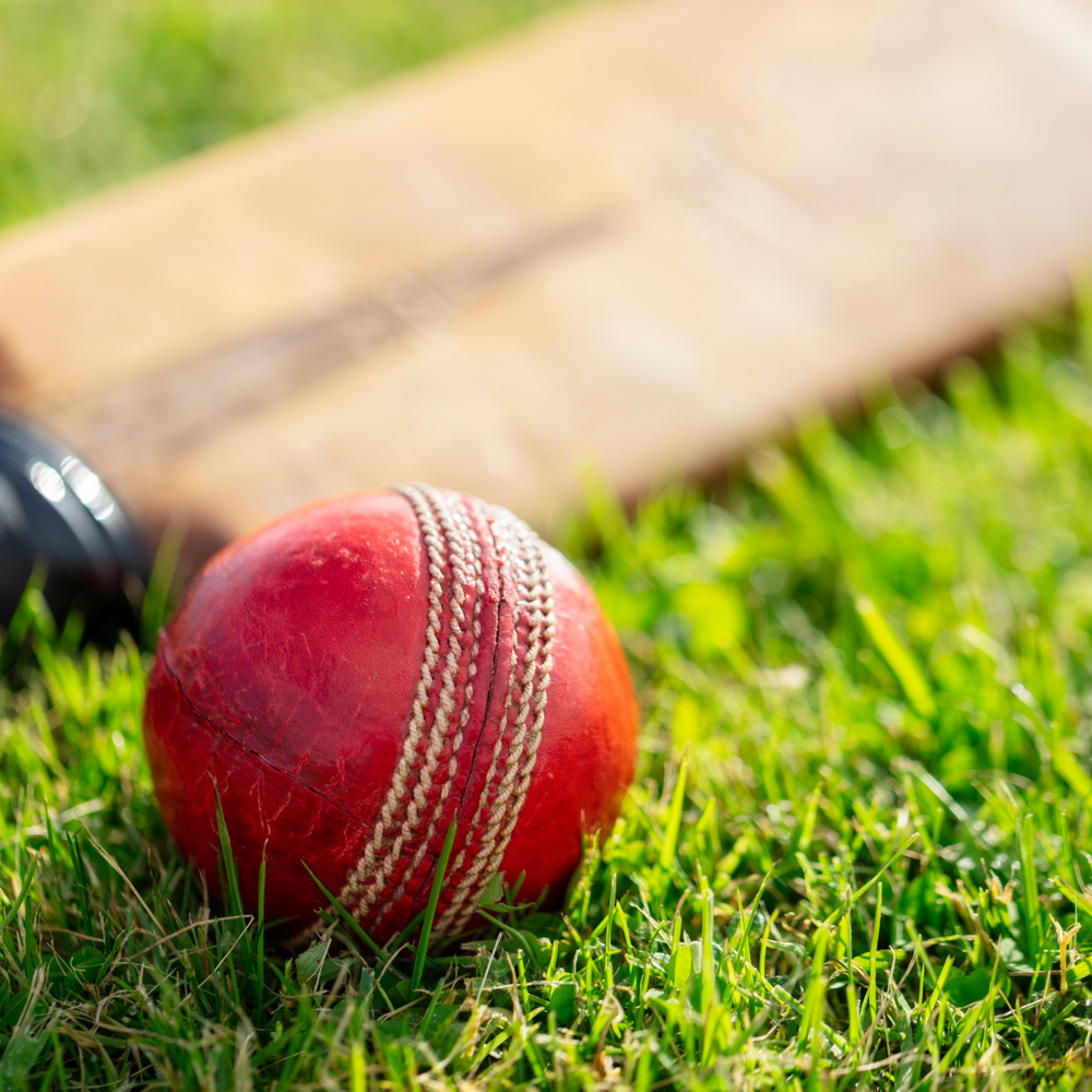 Caring for your Cricket Bat