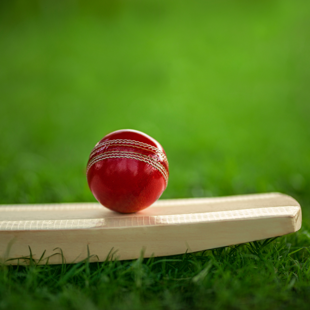 Caring for your Cricket Bat