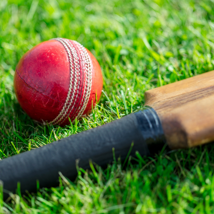 Caring for your Cricket Bat