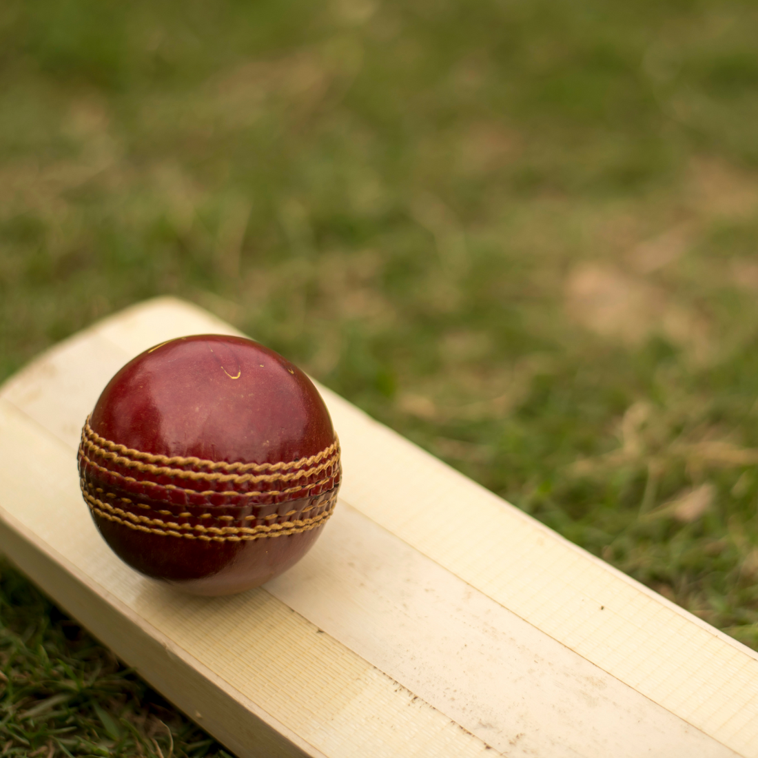 Caring for your Cricket Bat