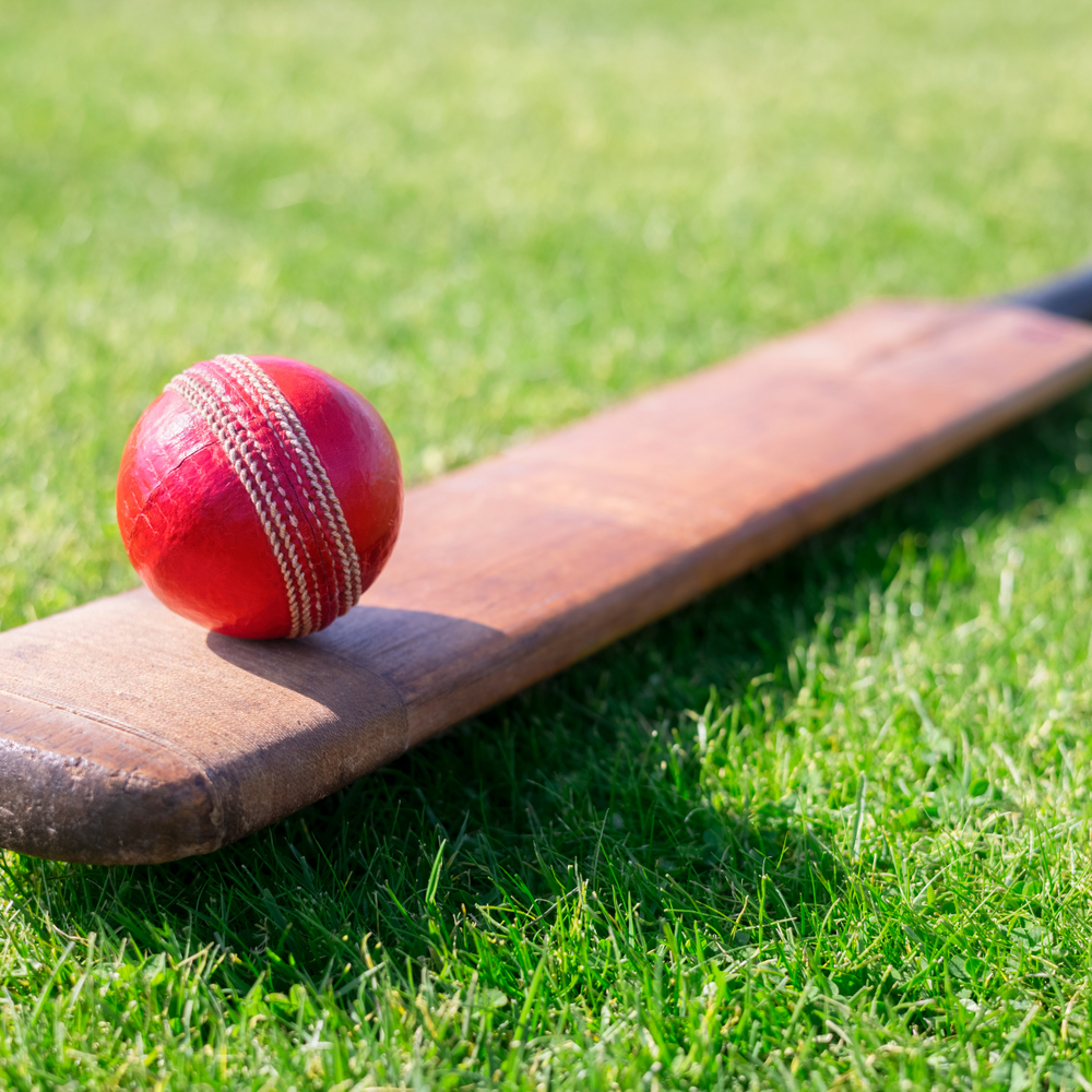 Caring for your Cricket Bat