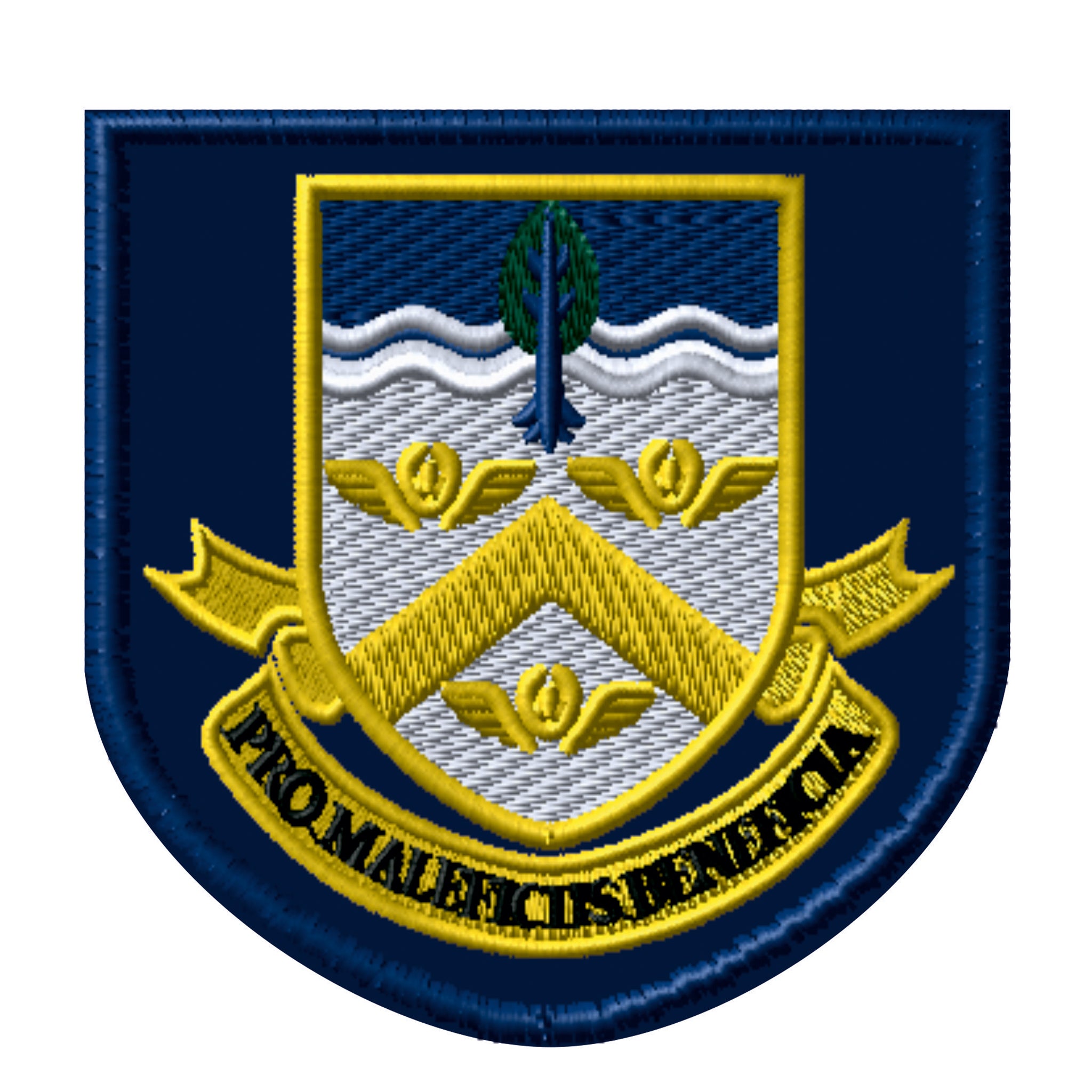 Dr Challoner's High School Badge